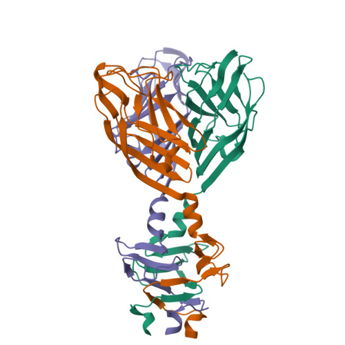 RCSB PDB - 7QRJ: Crystal structure of Zamilon vitis protein Zav_19