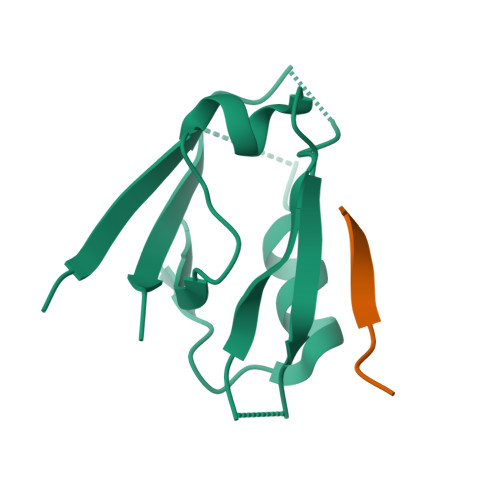 RCSB PDB - 7QS8: Structural insight into the Scribble PDZ domains ...