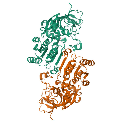 RCSB PDB - 7QUL: Alcohol Dehydrogenase from Thauera aromatica K319A ...