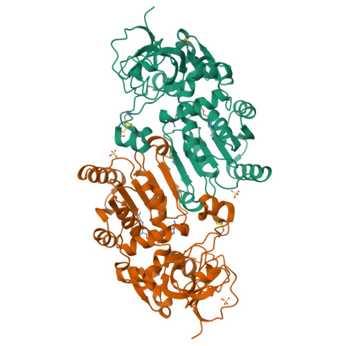 RCSB PDB - 7QUY: Alcohol Dehydrogenase from Thauera aromatica complexed ...