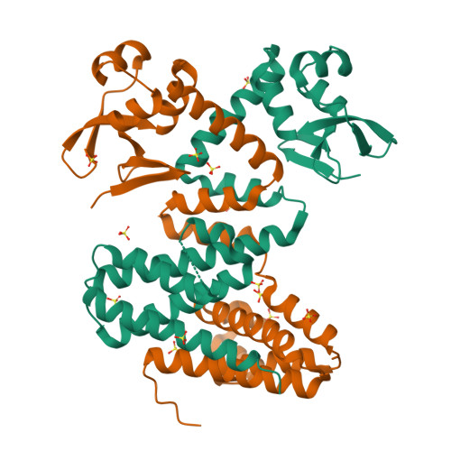 RCSB PDB - 7QVB: Crystal structure of the DNA-binding protein DdrC from ...