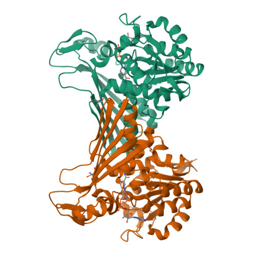 RCSB PDB - 7QZN: Amine Dehydrogenase from Cystobacter fuscus (CfusAmDH ...