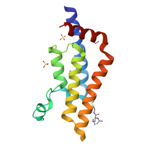 RCSB PDB - 7R0Y: ATAD2 in complex with PepLite-Glu