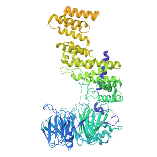 RCSB PDB - 7R1Y: cryoEM structure of human Nup155 (residues 19-981)