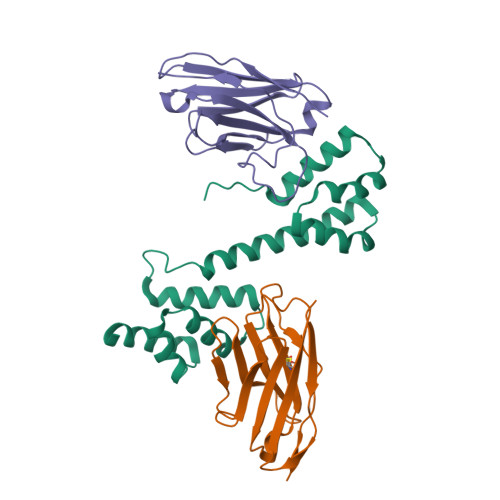 RCSB PDB - 7R24: Crystal structure of rat Arc CTD in complex with two ...