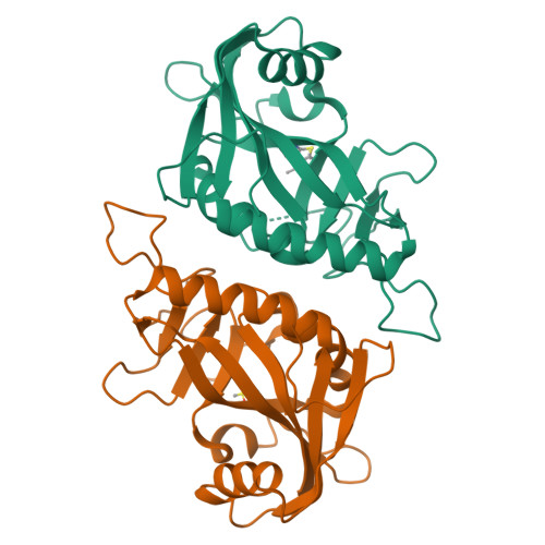 RCSB PDB - 7R4A: PARP15 catalytic domain in complex with OUL188