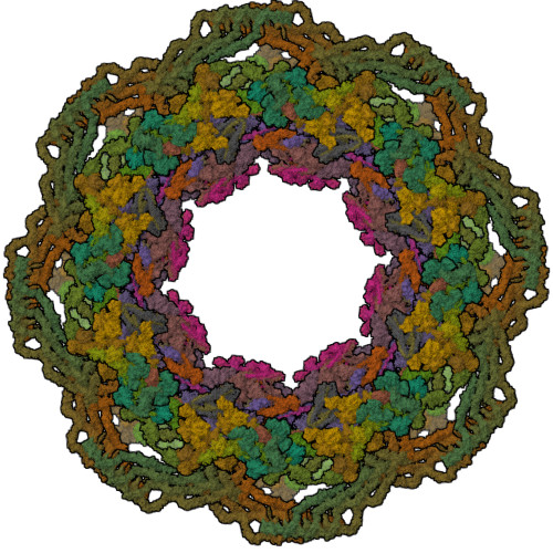 RCSB PDB - 7R5J: Human nuclear pore complex (dilated)