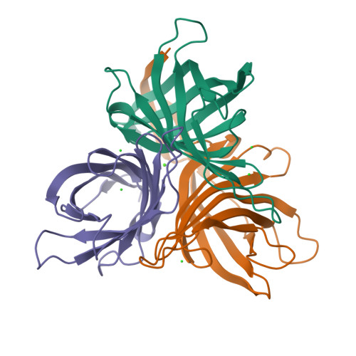 RCSB PDB - 7R5Z: Monocot chimeric jacalin JAC1 from Oryza sativa ...