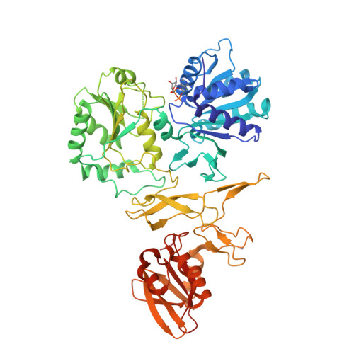 RCSB PDB - 7R7J: Crystal structure of RadD with ADP