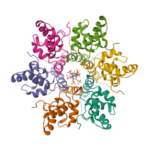 RCSB PDB - 7R7P: Immature HIV-1 CACTD-SP1 lattice with Bevirimat (BVM ...