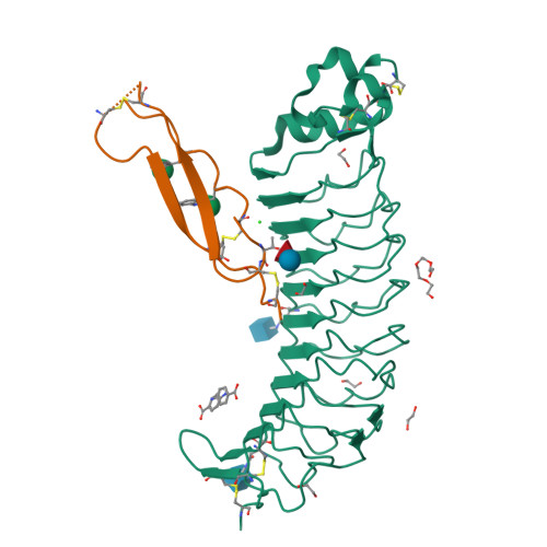 RCSB PDB - 7R86: Structure of mouse BAI1 (ADGRB1) in complex with mouse ...