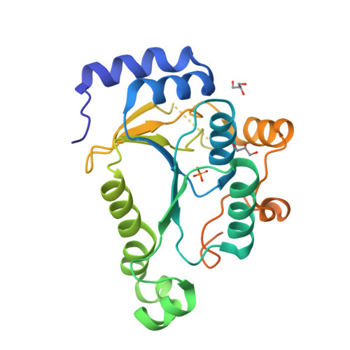 RCSB PDB - 7RGE: Crystal structure of phosphoadenylyl-sulfate (PAPS ...