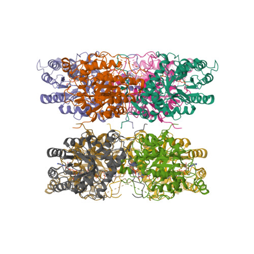 RCSB PDB - 7RGI: HUMAN RETINAL VARIANT IMPDH1(546) TREATED WITH GTP ...