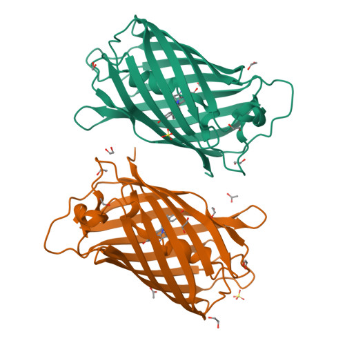 RCSB PDB - 7RHA: A new fluorescent protein darkmRuby at pH 5.0