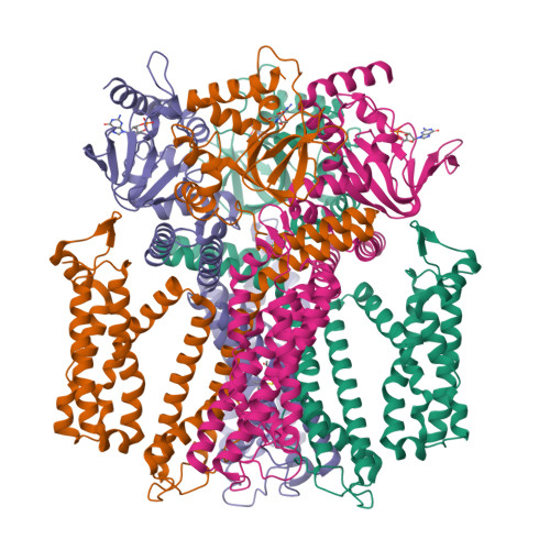 RCSB PDB - 7RHJ: Cryo-EM structure of human rod CNGA1/B1 channel in L ...