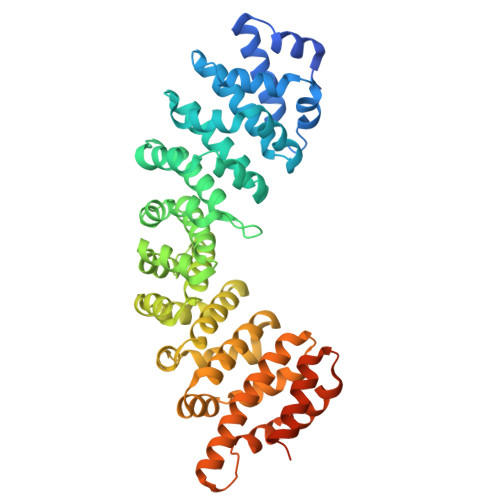 RCSB PDB - 7RHT: Importin alpha 7 delta IBB (KPNA6)
