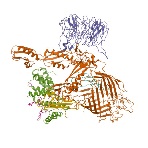 RCSB PDB - 7RI4: Structure of a BAM/EspP(beta9-12) hybrid-barrel ...