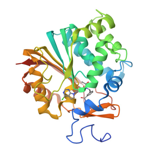 RCSB PDB - 7RKK: Structure of Nicotinamide N-Methyltransferase (NNMT ...