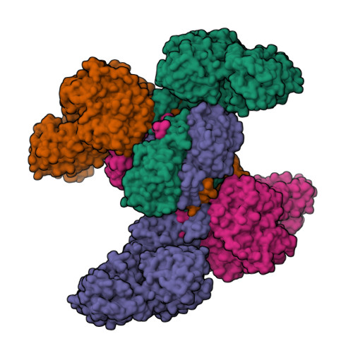 RCSB PDB - 7RMP: Structure of ACLY D1026A - substrates-asym