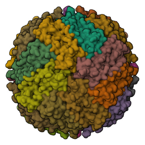 RCSB PDB - 7RRP: Apoferritin structure at 1.27 angstrom resolution ...