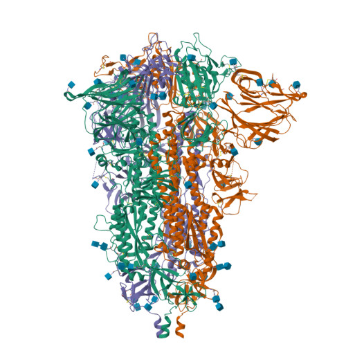 RCSB PDB - 7RU1: SARS-CoV-2-6P-Mut7 S protein (C3 symmetry)