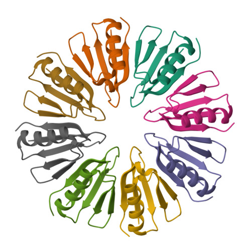 RCSB PDB - 7RUS: Crystal structure of the octameric form of Rv3208A