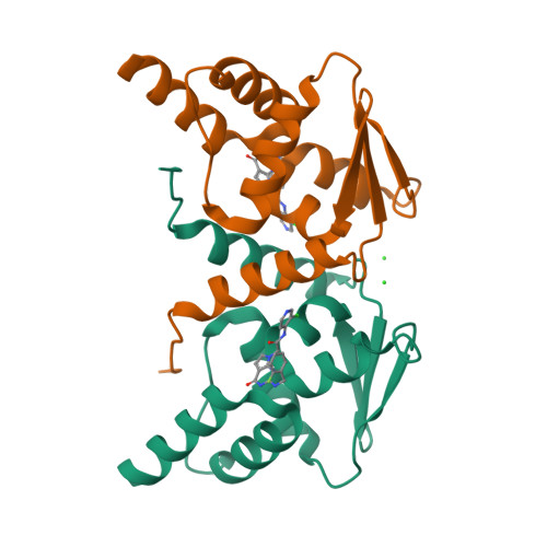 RCSB PDB - 7RV0: Crystal structure of the BCL6 BTB domain in complex ...