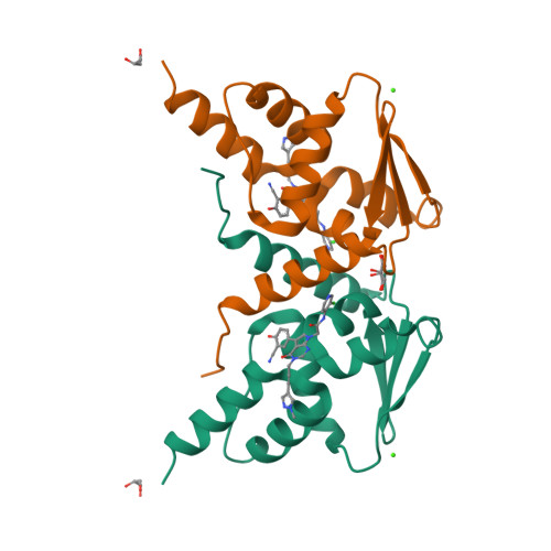 RCSB PDB - 7RV7: Crystal structure of the BCL6 BTB domain in complex ...