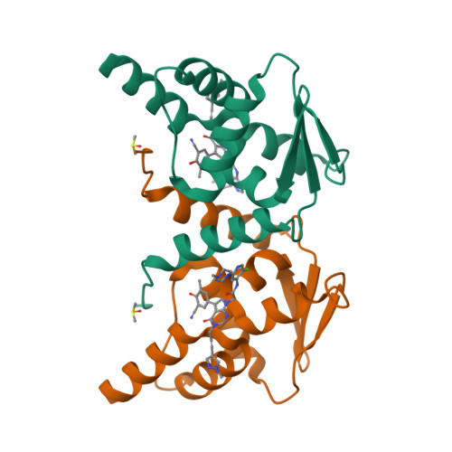 RCSB PDB - 7RV9: Crystal structure of the BCL6 BTB domain in complex ...