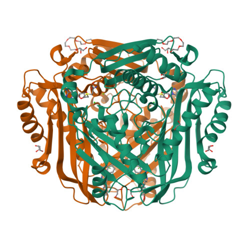 RCSB PDB - 7RWH: Crystal structure of human methionine ...