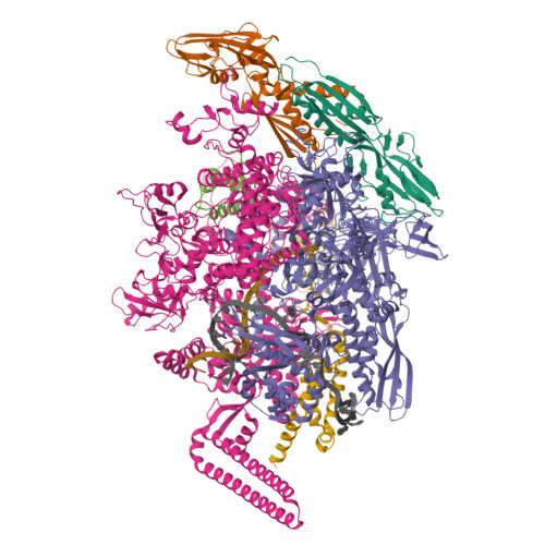 RCSB PDB - 7RWI: Mycobacterium tuberculosis RNA polymerase sigma L ...