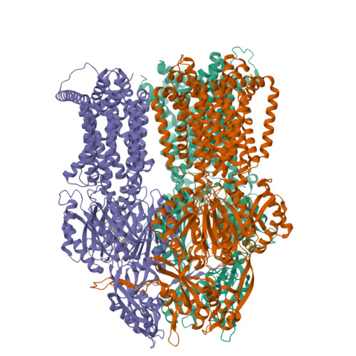 RCSB PDB - 7RY3: Multidrug Efflux pump AdeJ with TP-6076 bound