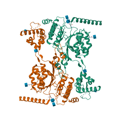 RCSB PDB - 7S05: Cryo-EM structure of human GlcNAc-1-phosphotransferase ...