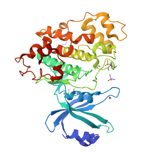 RCSB PDB - 7S6U: Leishmania infantum Glycogen Synthase Kinase 3 beta ...