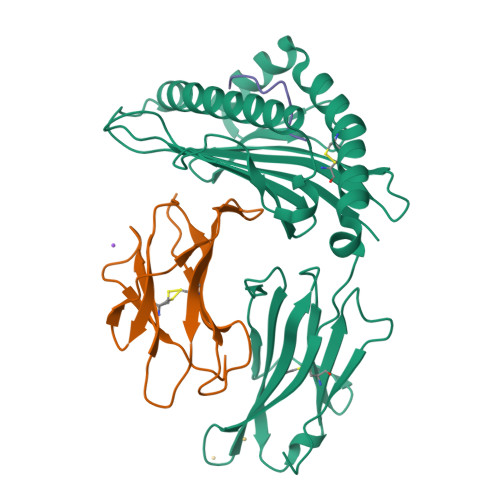 RCSB PDB - 7SA2: SARS-CoV-2 spike-derived peptide S1060-1068 (VVFLHVTYV ...