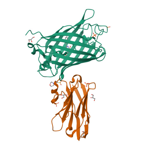 RCSB PDB - 7SAI: Crystal Structure of Lag30 Nanobody bound to eGFP