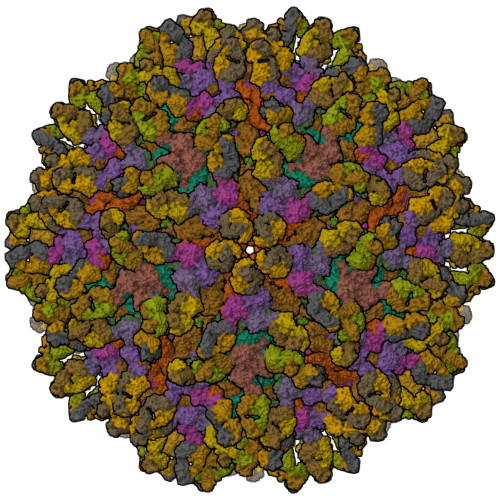 RCSB PDB - 7SFV: CryoEM structure of Venezuelan Equine Encephalitis ...