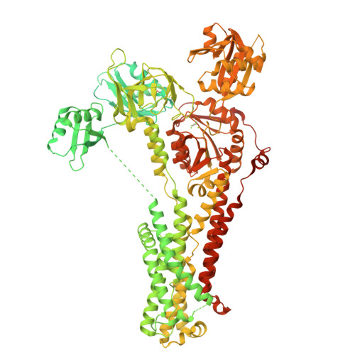 RCSB PDB - 7SI3: Consensus structure of ATP7B
