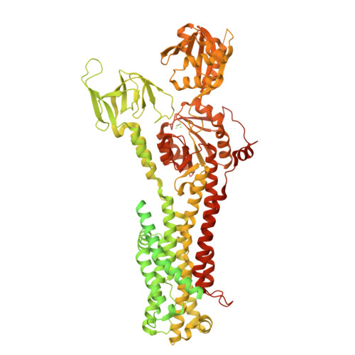 RCSB PDB - 7SI7: Structure of ATP7B in state 2