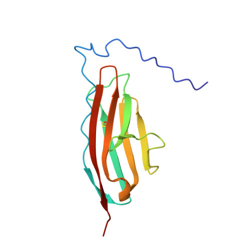 RCSB PDB - 7SJL: Solution NMR Structure of Immunoglobulin-like Domain ...