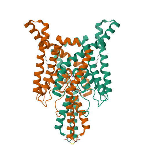 Lipids Structure 3d