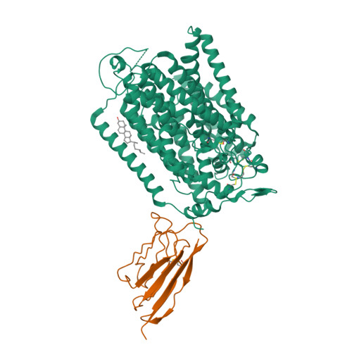 RCSB PDB - 7SL8: CryoEM structure of SGLT1 at 3.4 A resolution