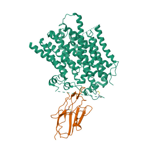 RCSB PDB - 7SL9: CryoEM structure of SMCT1