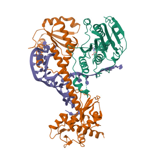 RCSB PDB - 7SLP: Cryo-EM structure of 7SK core RNP with linear RNA