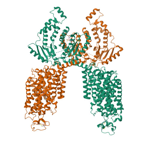 RCSB PDB - 7SMP: CryoEM structure of NKCC1 Bu-I