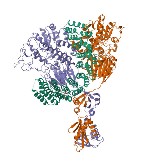 RCSB PDB - 7SN8: Cryo-EM structure of Drosophila Integrator cleavage ...