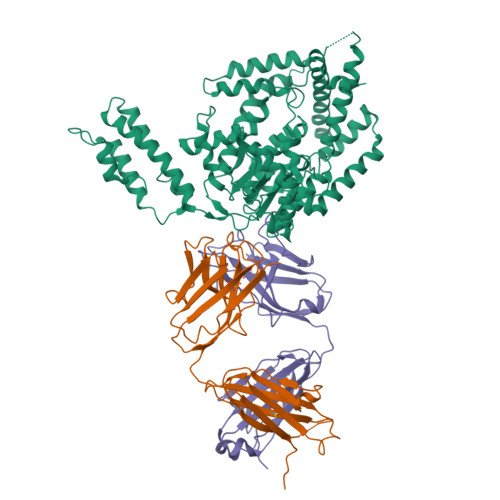 RCSB PDB - 7SO7: Novel structural insights for a pair of monoclonal ...