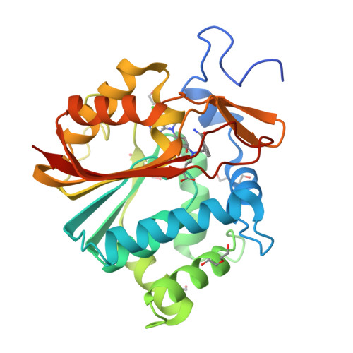 RCSB PDB - 7SOK: Structure of Nicotinamide N-Methyltransferase (NNMT ...