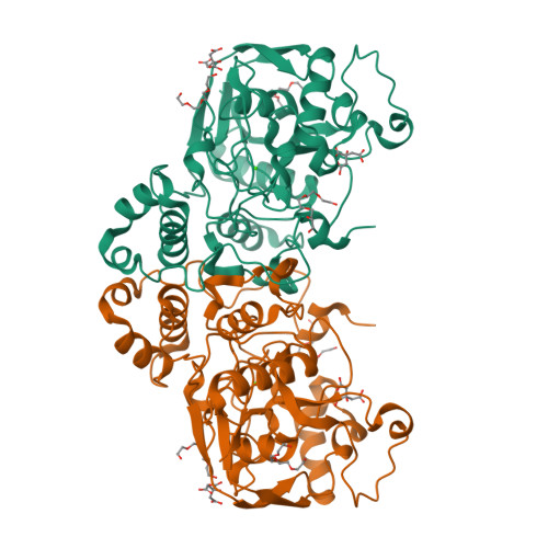 RCSB PDB - 7SPQ: Crystal structure of Burkholderia glumae toxoflavin ...