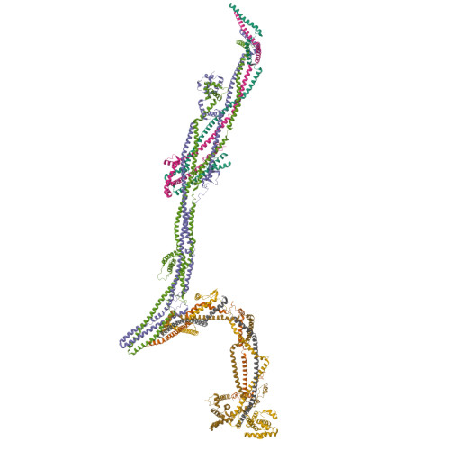 RCSB PDB - 7SQK: Cryo-EM structure of the human augmin complex